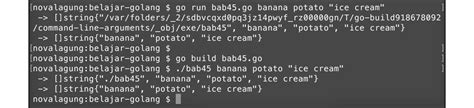 Golang Arguments Flag Dasar Pemrograman Golang