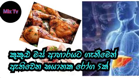 කුකුළු මස් සහ කුකුළු පීකුදු ආහාරයට ගැනීමෙන් ඇතිවෙන භයානක රෝග 5 ක් Mix Tv Youtube
