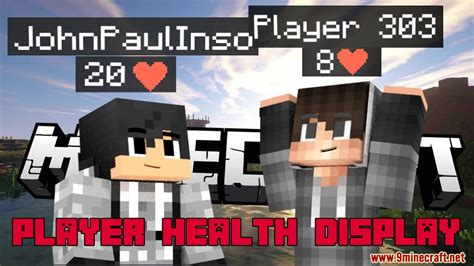 Player Health Display Data Pack View Other Players