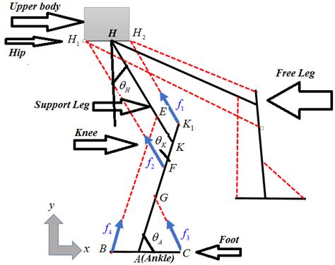 Bipedal Locomotion Model With Compliant Legs Download Scientific Diagram