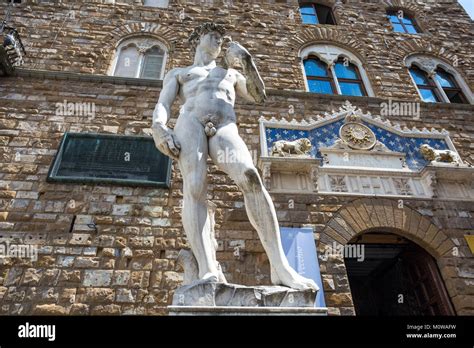 David Donatello Vs David Michelangelo