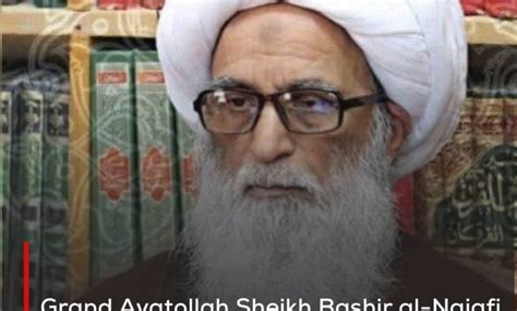 Grand Ayatollah Sheikh Bashir Al Najafi Denounces The Inclusion Of Imam Redha Holy Shrine On The