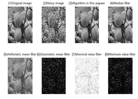 Results Through The Algorithm And Spatial Filters Of Gray Noise Image