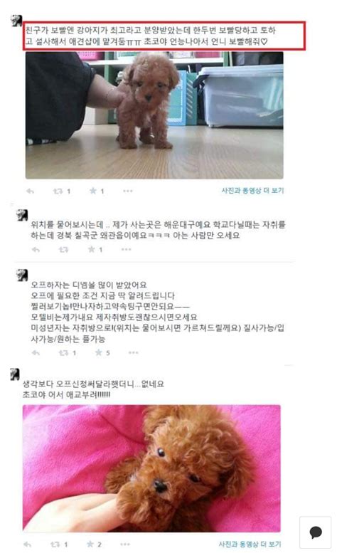 수간 레전드 DogDrip Net 개드립