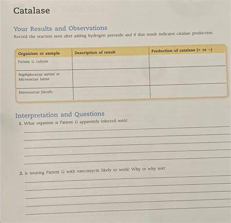 Solved Catalase Reduction Your Results And Observations