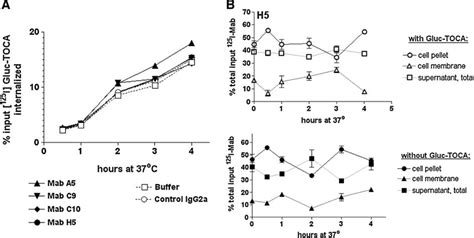 Internalization Of [ 125 I]gluc Toca Or 125 I Mab H5 By D341 Med Cells Download Scientific