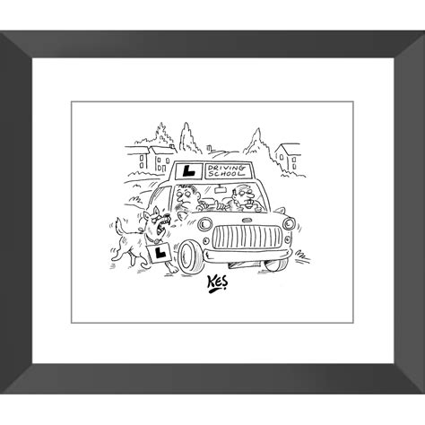 Learner Drivers Ts Cartoonstock