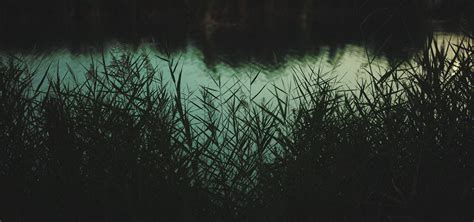 Compassion On Behance