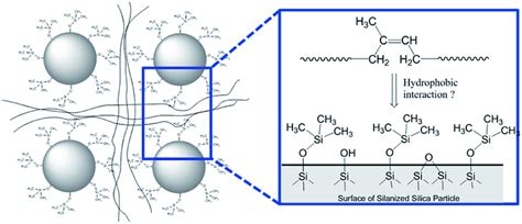 Schematic Representation Of The Silica Surface In A Polymersilica