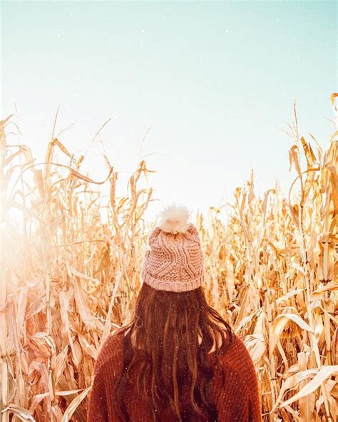 Corn Maze Corn Is Maize 🤯🌽 Fall Photoshoot Fall Photos Autumn