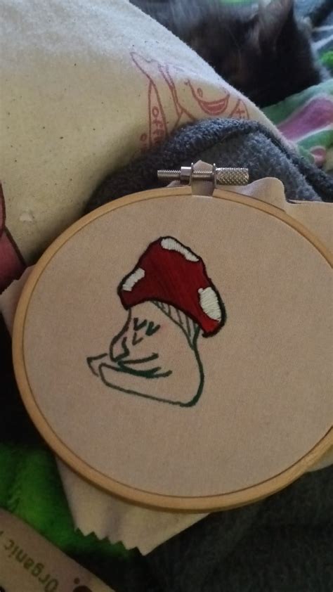 First Time Doing My Own Drawing Rembroidery