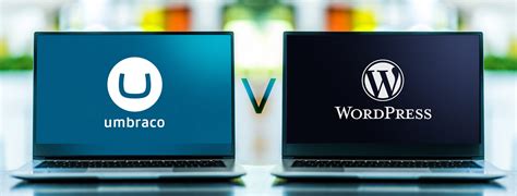 Umbraco Vs Wordpress Why Umbraco Emerges As The Superior Choice Mch