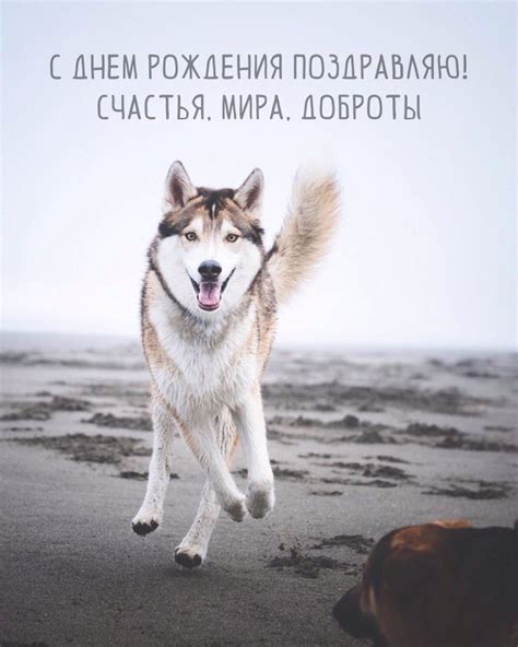 Картинки с надписями С днем рождения поздравляю Счастья мира доброты