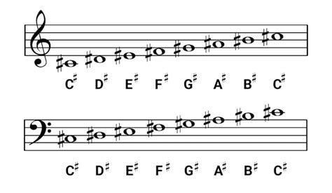 C Sharp Major On Piano Scales Chords And Exercises Oktav