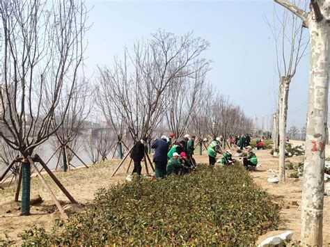市园林绿化中心：为城市“梳妆换颜”助推“创文”走深走实 中华龙都网 周口报业传媒集团主办 河南省重点新闻网站