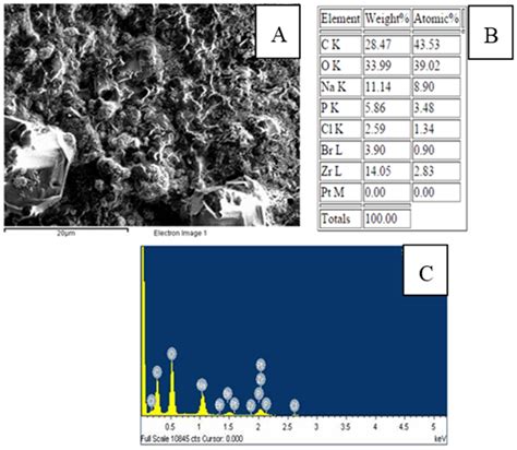 Biosensors Special Issue Screen Printed Electrodes And Sensors