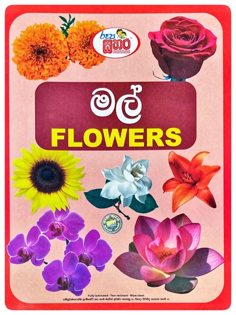 රූප සතර මල් Sathara Picture Book Flowers පොත් පැංචා [poth Pancha]