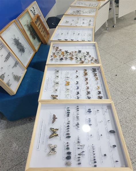 “Судлаач оюутан 2022” эрдэм шинжилгээний бага хурал боллоо Монгол