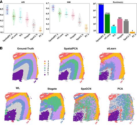 Kernel Bounded Clustering For Spatial Transcriptomics Enables Scalable Discovery Of Complex