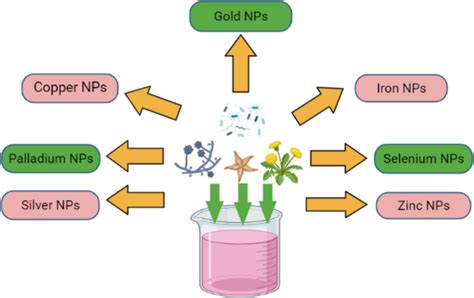 Development Of Metallic Nanoparticles By Green Synthesis Method Download Scientific Diagram