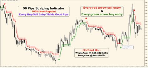 50 Pips Scalping Indicator
