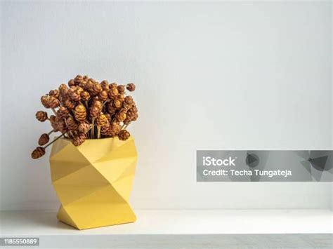 현대 기하학적 콘크리트 화분 아름다운 콘크리트 냄비입니다 0명에 대한 스톡 사진 및 기타 이미지 0명 Diy 개념 Istock