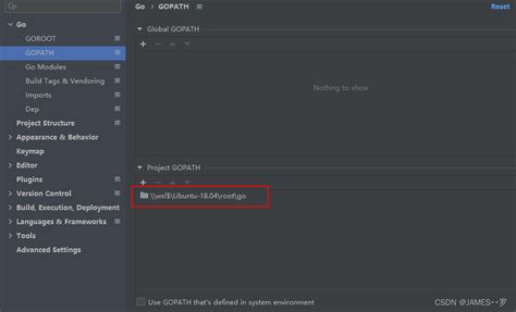 Golang配置运行wslgoland连接wsljames↔罗的博客 Csdn博客