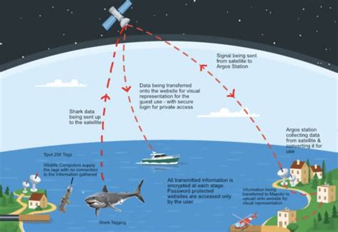 Visualize Gps Data Mapotic