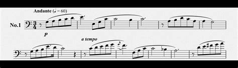 Input Notes Sibelius 5 Holoserave