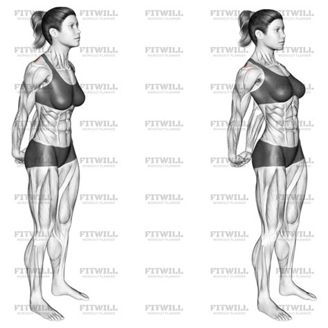 Bodyweight Standing Back Stretch Exercise Guide Video Techniques