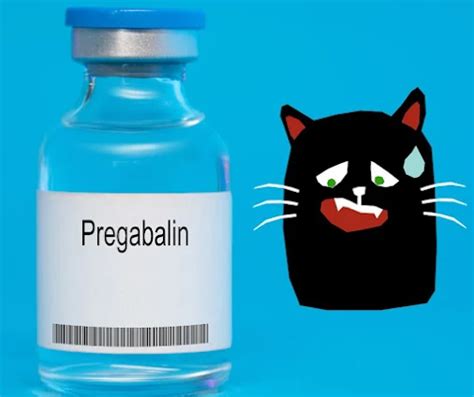 Cat Chit Chat If Your Cat Is Really Really Anxious Going To The Vet You Can Now Give Them