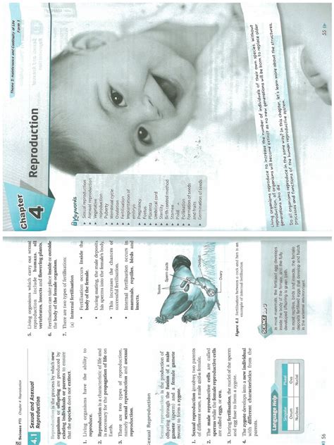 Form 1 Science Chapter 4 Reproduction Note Part 1 Pdf