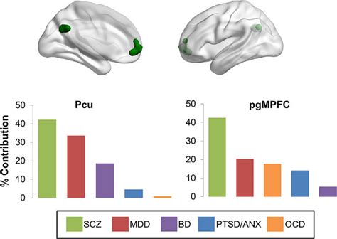 Transdiagnostic Clusters Of Aberrant Connectivity In The Default Mode Download Scientific