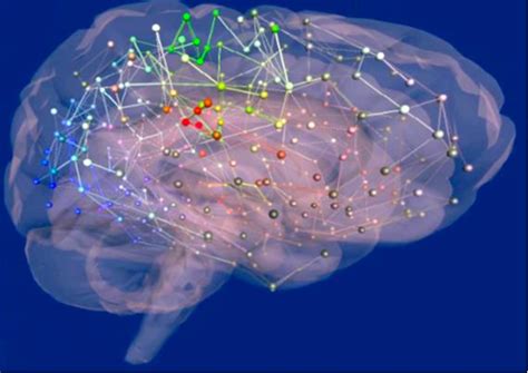 The Brain Structural Connectivity Is Shown As A Graph In Vr Node Download Scientific Diagram