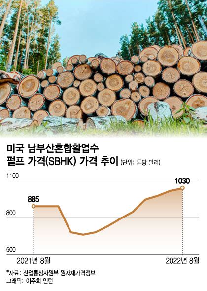 천장 뚫은 펄프가격고통 심화되는 제지업계 머니투데이