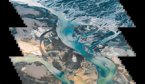 Scibite Technology That Unlocks Scientific Data Elsevier