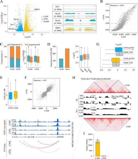Re Organization Of Compartment And Topologically Associated Domain Download Scientific Diagram