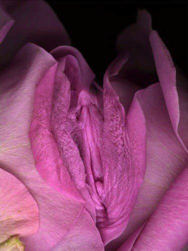 Pink Petals Tubbys1st