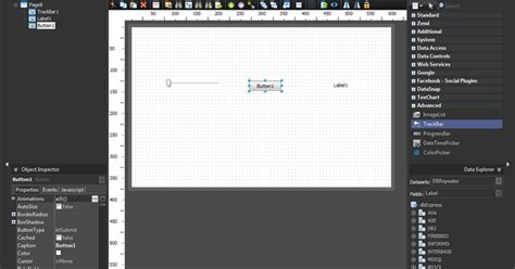learning embarcadero html5builder trackbar example
