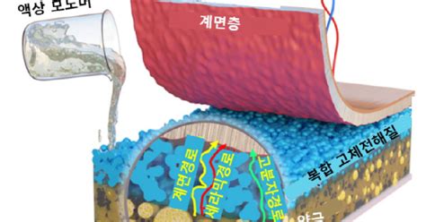 다양한 고체전해질 활용해 전고체 배터리 성능 `up`대량생산·상용화에 진일보