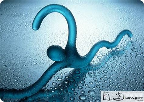 衣架也疯狂 囧照囧图 囧人囧事聚集地 囧囧囧囧囧