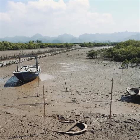 Irma Velazquez On Linkedin Eawd Eawgs Water Sustainability Energyaccess Investinwater