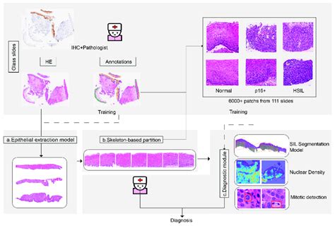 Two Typical Steps Are Involved In Artificial Intelligence Approaches Download Scientific