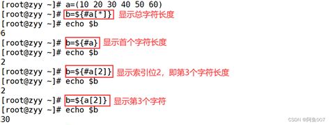 Shell数组操作详解 Csdn博客