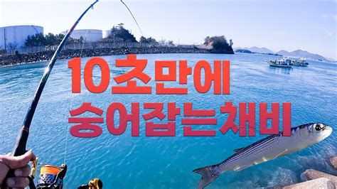 숭어 찌 낚시 마릿수 타작 채비 및 방법 2탄 Youtube