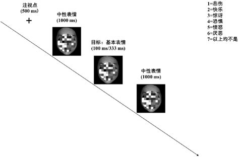 The Program For The Micro Expression Recognition Task 图 1 微表情识别任务的流程