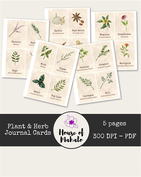 Plant And Herb Journal Cards Printable Botanical Ephemera Digital