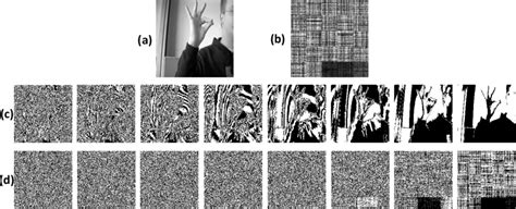 comparison of bit planes a original image b encrypted image
