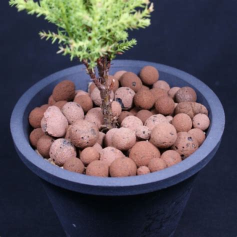 네덜란드 포콘 황토볼 세라믹 하이드로볼 2l 소포장 하우숩