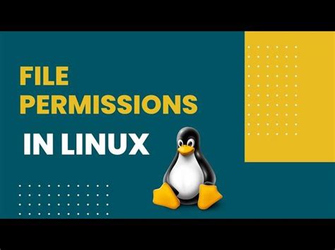 day 4 of 90daysofdevopschallenge file permissions in linux mayur barange posted on the topic